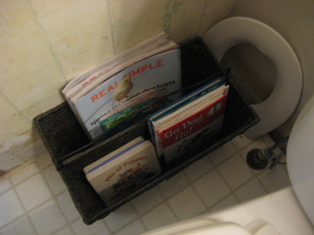 Embarrassing Bathroom – Week 3 Link-Up